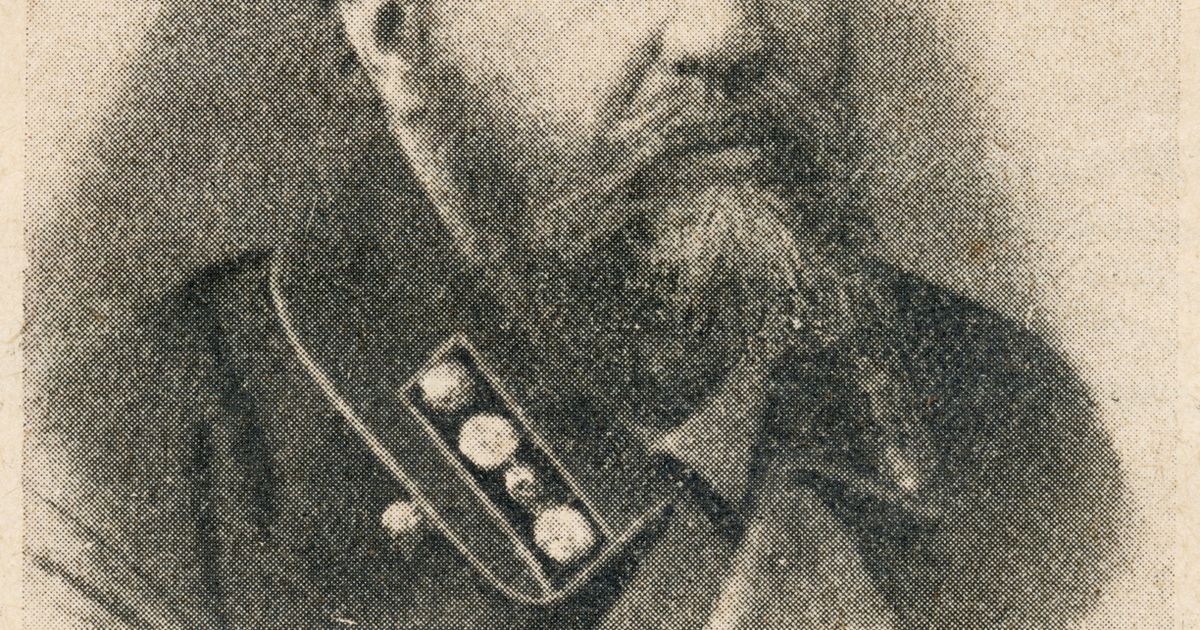 Краснов Андрей Николаевич. Большая российская энциклопедия