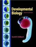 Gilbert S. F. Developmental biology. Sunderland, MA, 2006. Большая ...