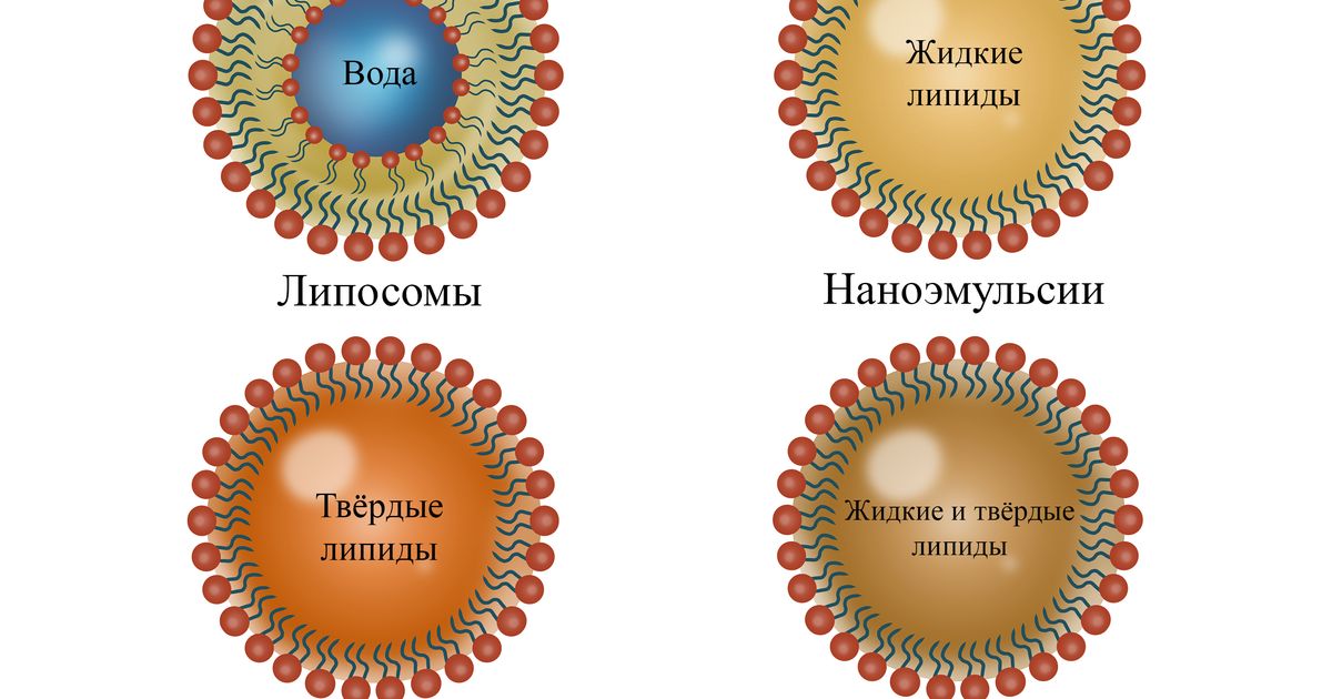 Липидные нанокапсулы. Большая российская энциклопедия