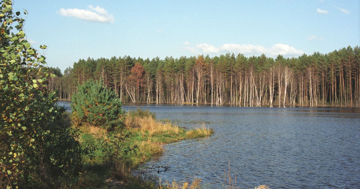 Орловское полесье. Большая российская энциклопедия