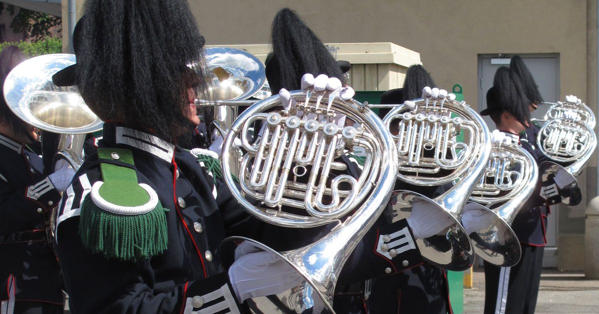 Валторна. Большая российская энциклопедия